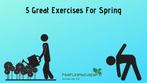 5 Great Exercises For The Spring | Naturescape | Andover CT